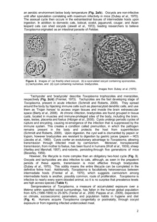 1302208 - Lit. Rev | PDF