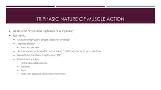 Triphasic Training pp | PPT