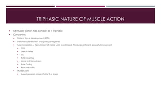 Triphasic Training pp | PPT