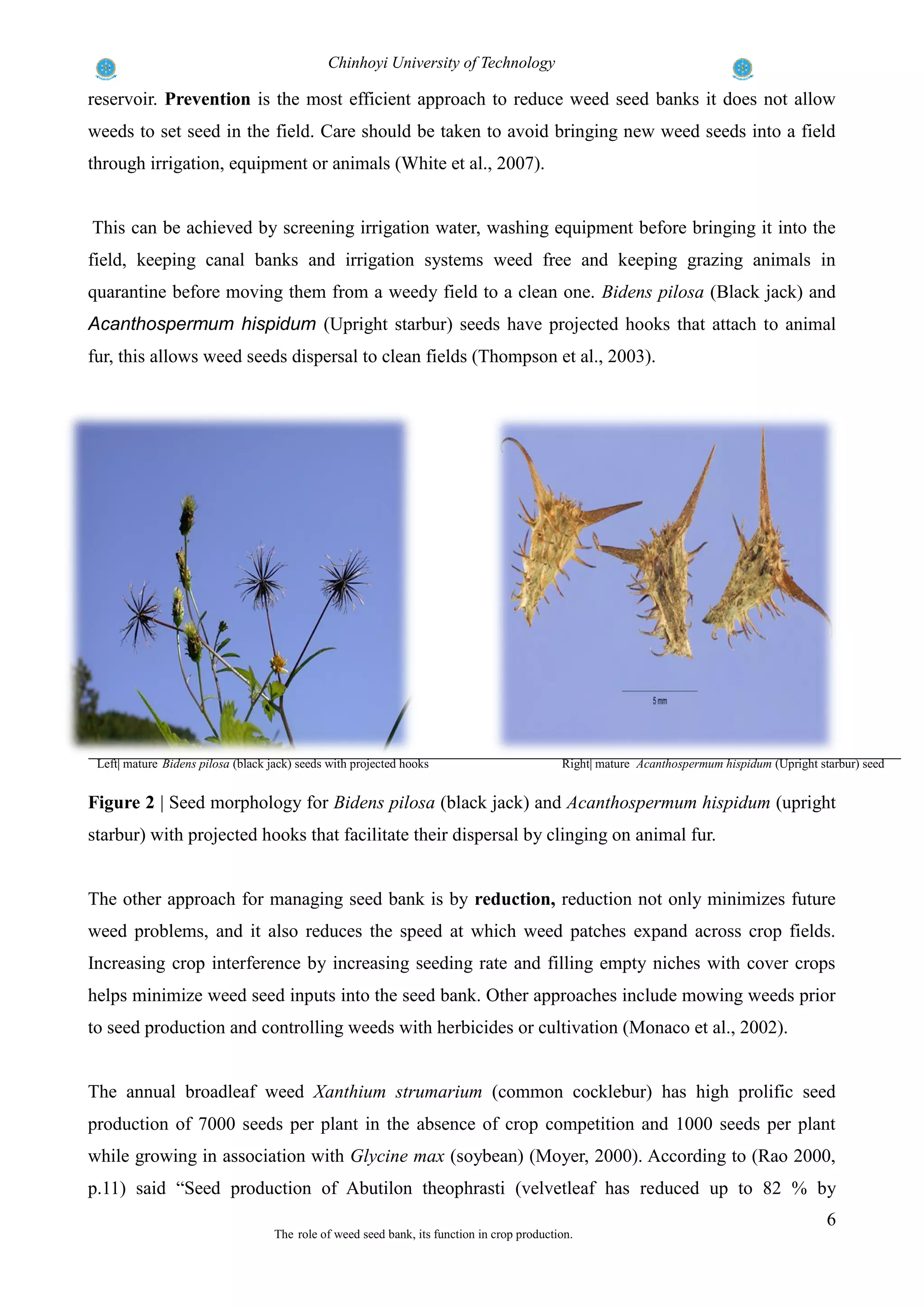 The role of weed seed bank in crop production | PDF