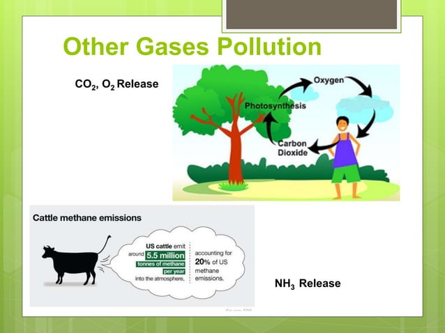 Air Pollution Basics | PPTX