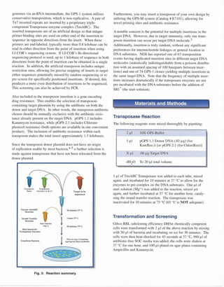 Li-Cor Brochure | PDF