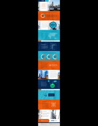 Megacities Insights | PDF