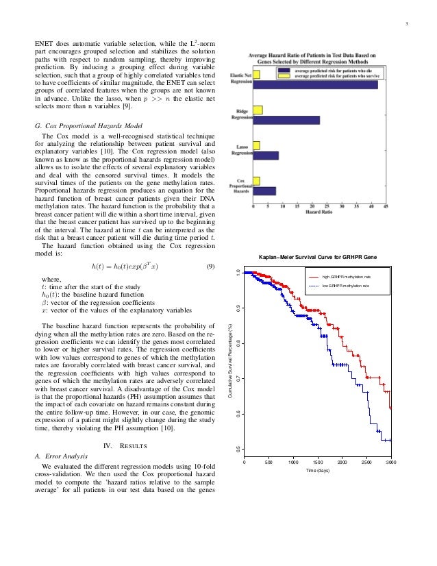 Gene_Identification_Report