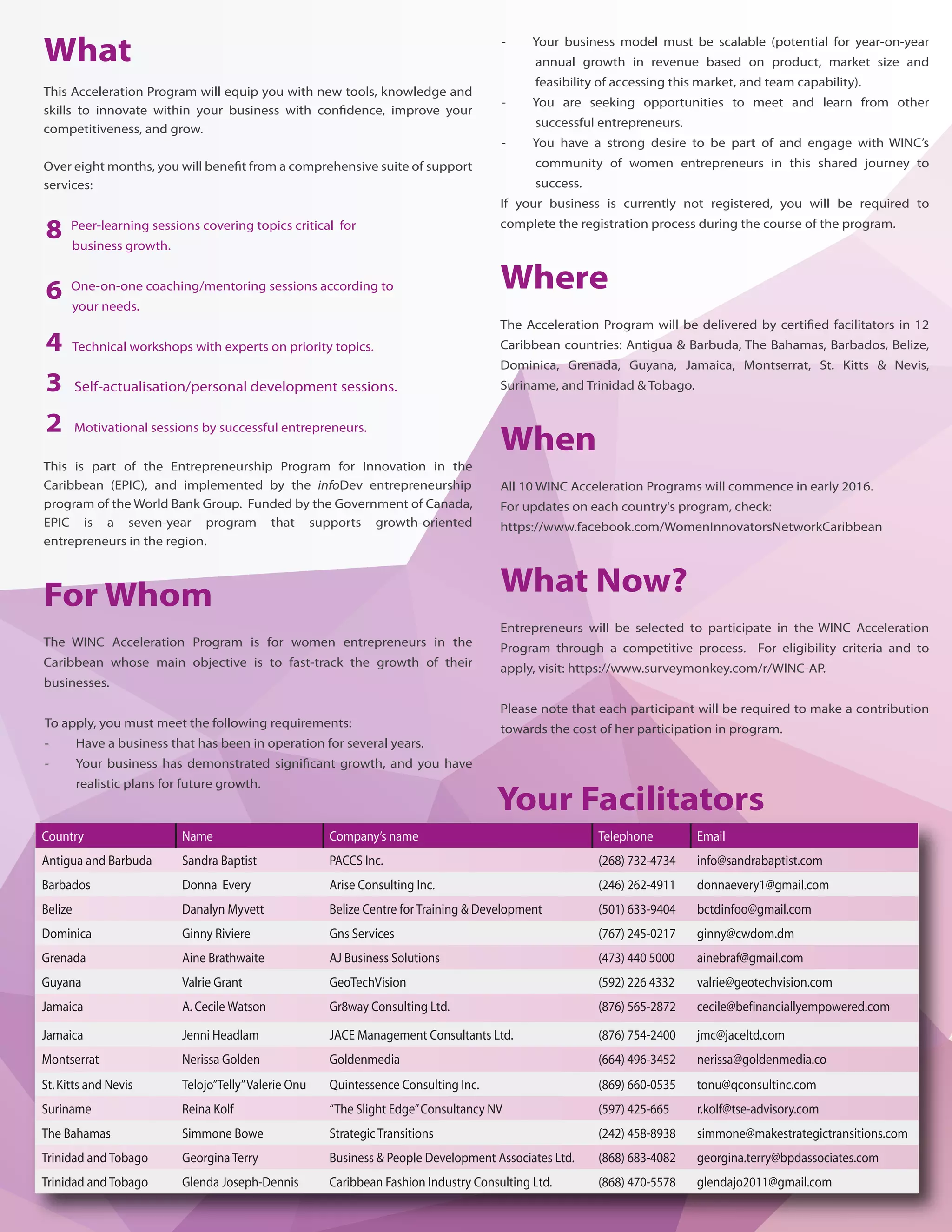 infoDev WINC Acceleration Program Flyer | PDF