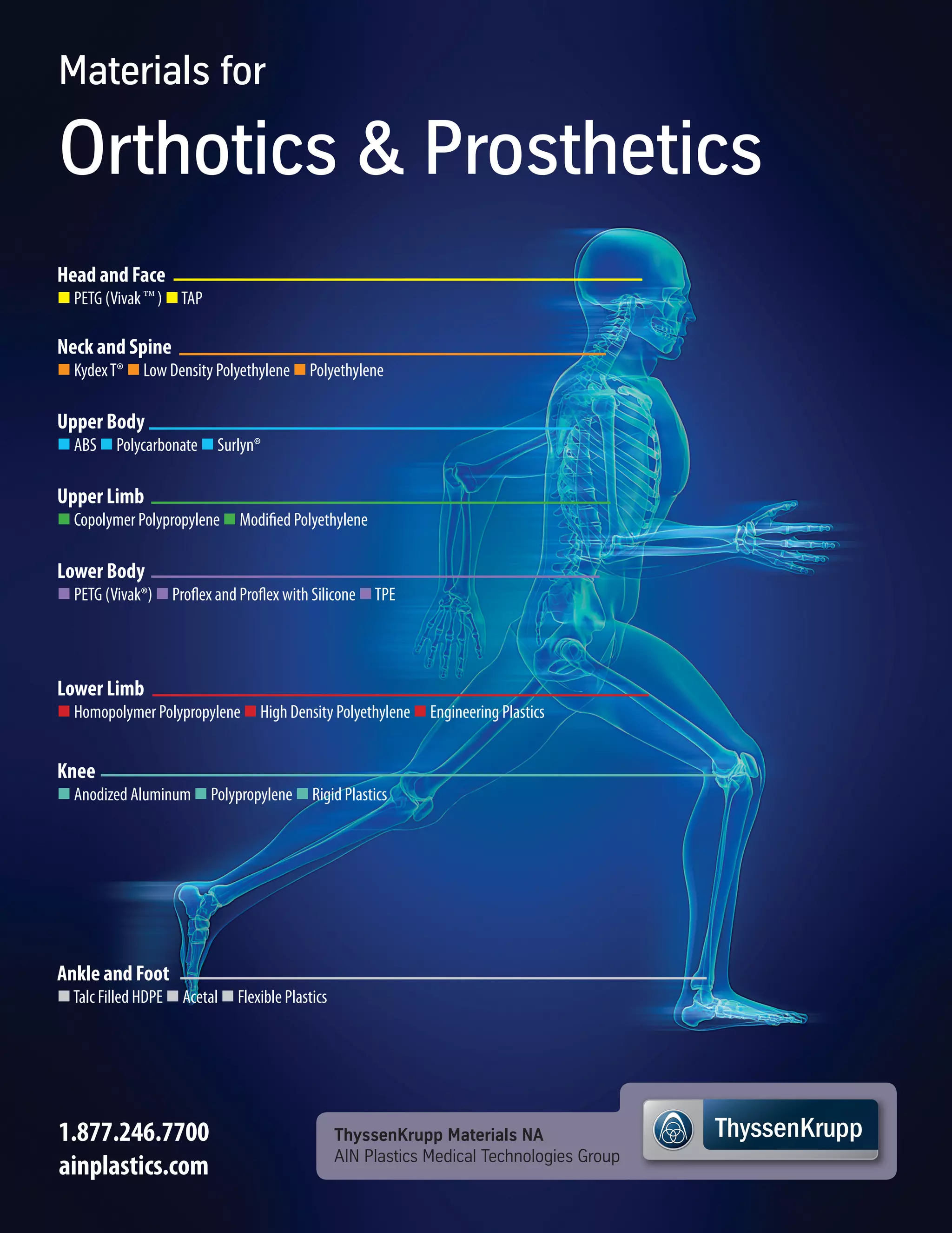 Orthotics and Prosthetics Brochure_2013 | PDF