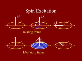 260 mri system block diagram | PPT