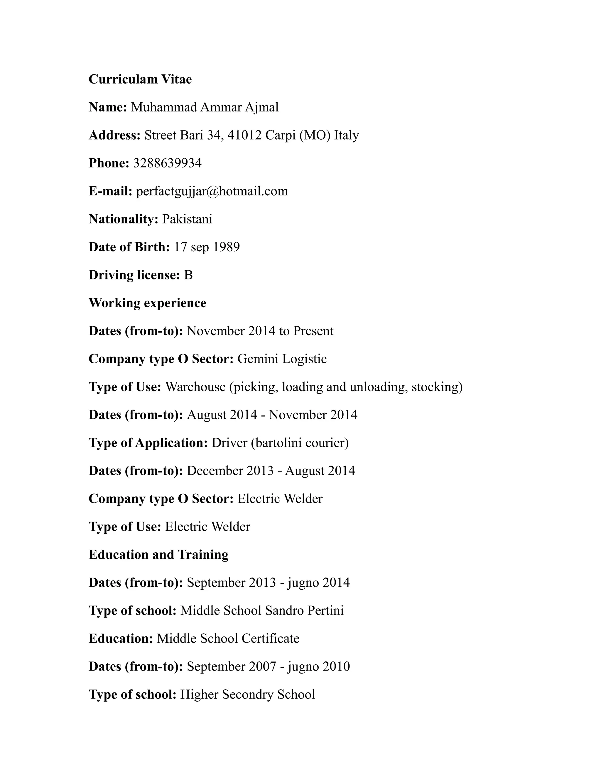 Ammar's CV English | PDF