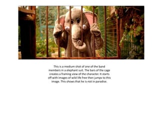 Coldplay Paradise Elephant Wallpaper