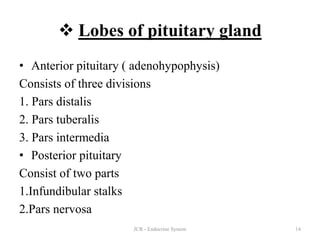 Endocrine System and its glands in brief | PDF