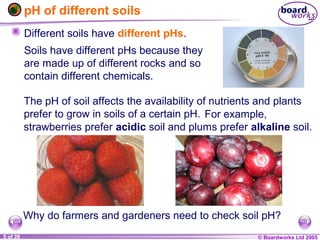 9 g environmental chemistry | PPT | Gardening | Home & Garden