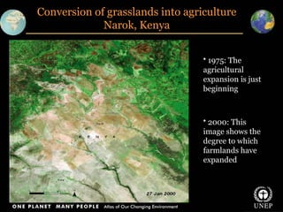 Important of Grassland management.....pptx