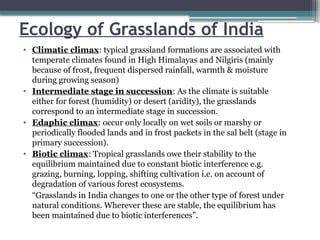 Important of Grassland management.....pptx