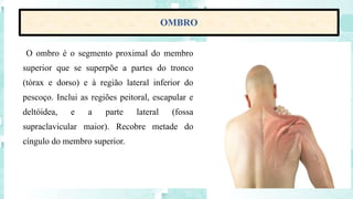 9 Grupo Anatomia Clinica do membro superior.pptx