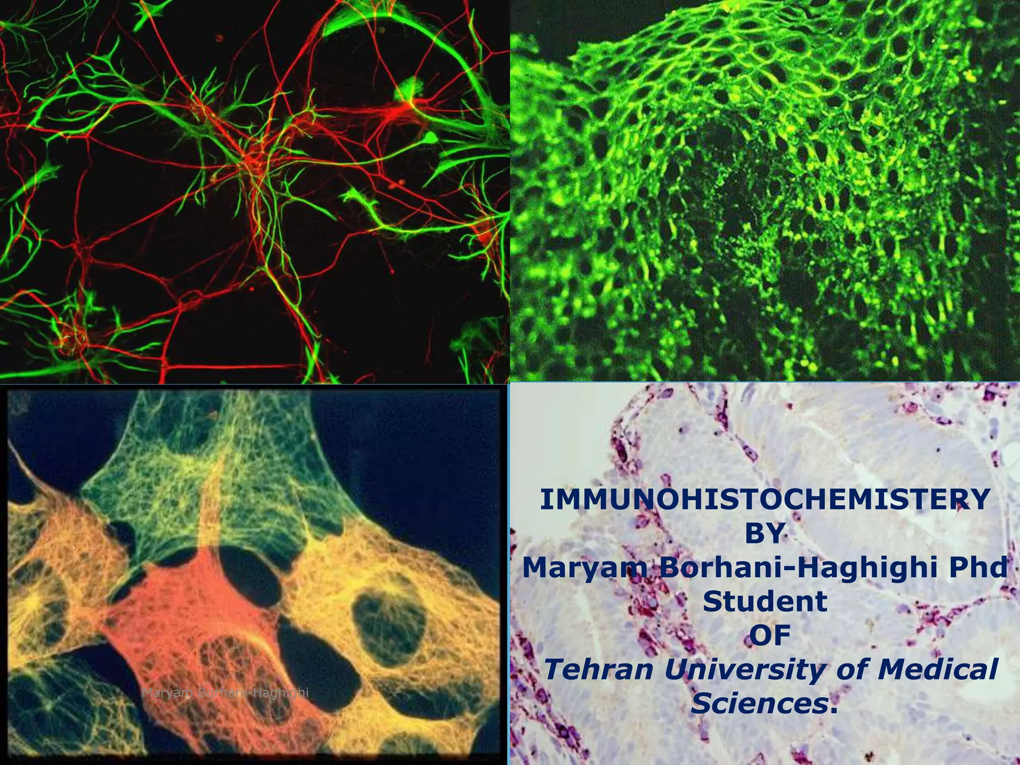 Immunohistochemistery | PPTX