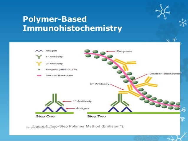 Immunohistochemistery