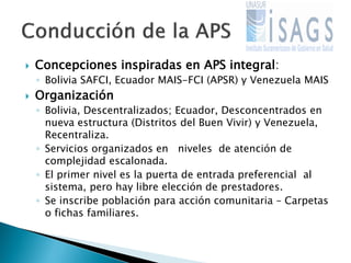 Herland Tejerina - Mapeo APS Bolivia-Ecuador-Venezuela | PDF