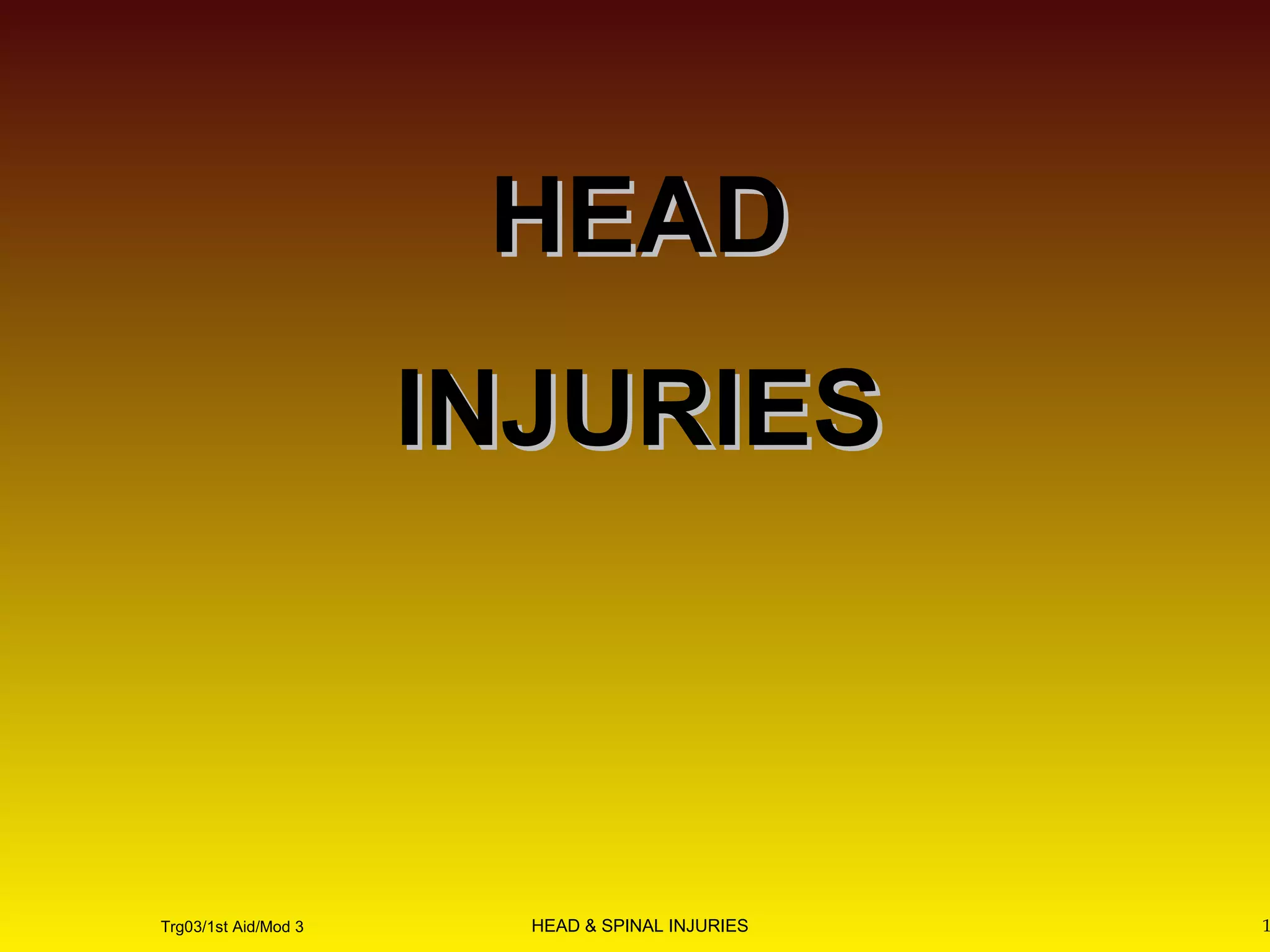 Head and spinal injuries | PPT