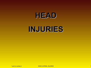 Head and spinal injuries | PPT