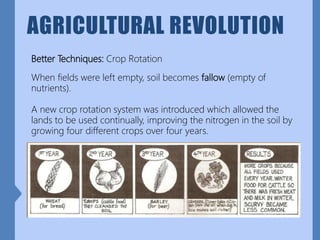 Agricultural Revolution Crop Rotation