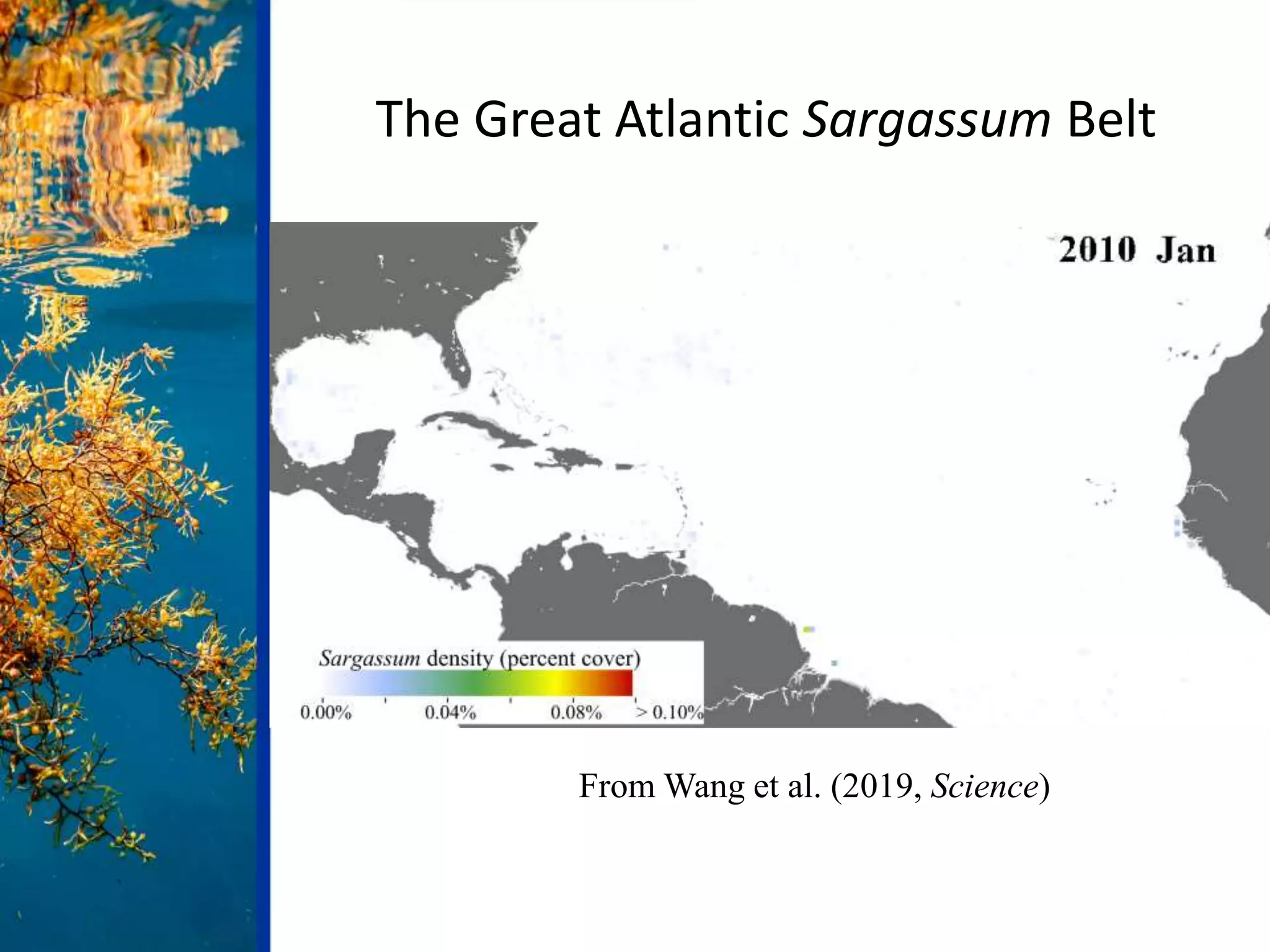 Dr Chuanmin Hu Professor of Oceanography University of South Florida ...