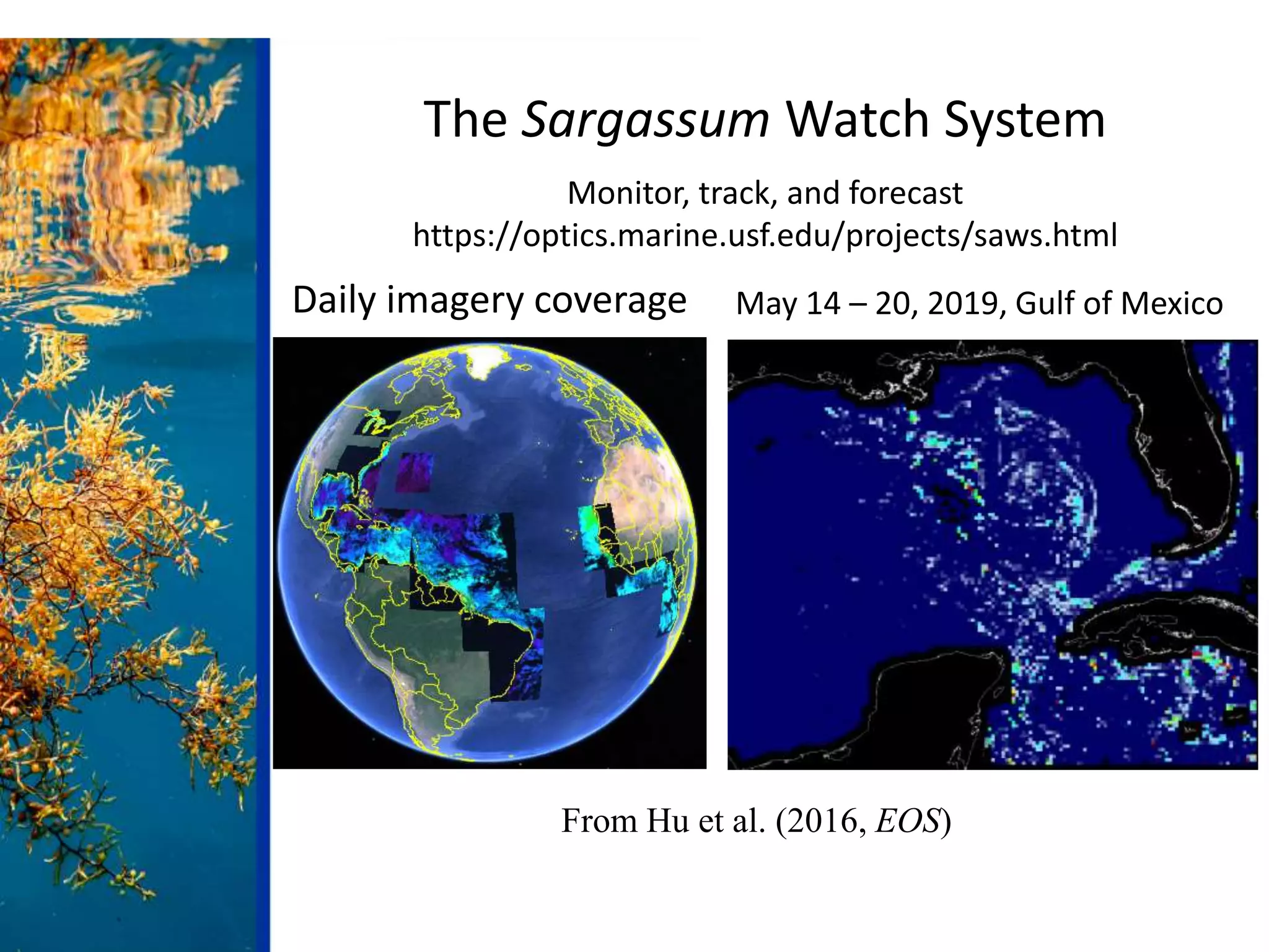 Dr Chuanmin Hu Professor of Oceanography University of South Florida ...