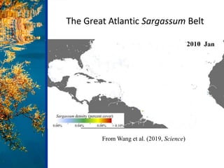 Dr Chuanmin Hu Professor of Oceanography University of South Florida ...