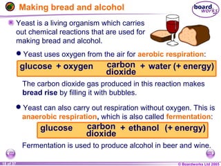 9 h using chemistry | PPT
