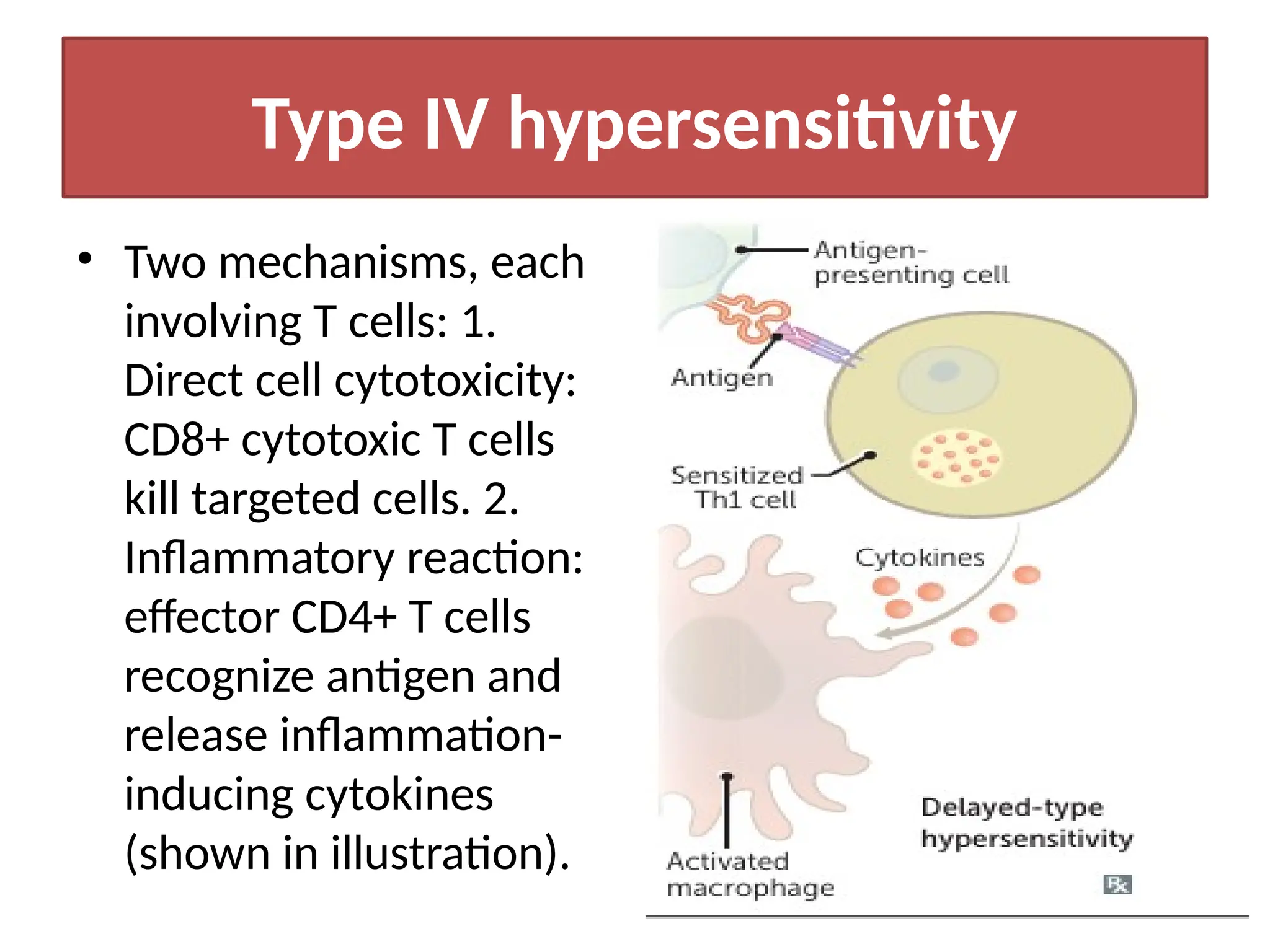 Immunology, hypersensitivity reaction.pptx