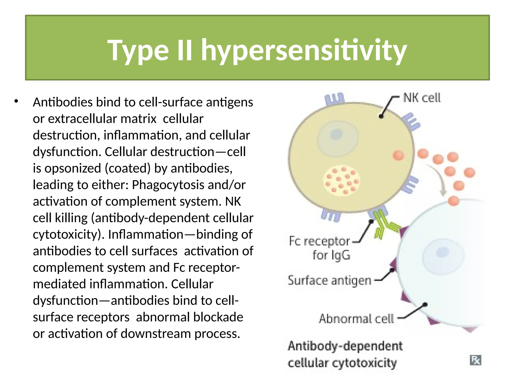 Immunology, hypersensitivity reaction.pptx