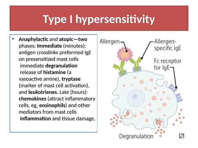 Immunology, hypersensitivity reaction.pptx