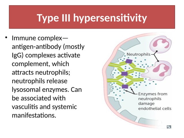 Immunology, hypersensitivity reaction.pptx