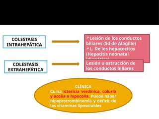 ICTERICIA NEONATAL CLASE UNIVERSIDAD NACIONAL DE CAJAMARCA | PPTX