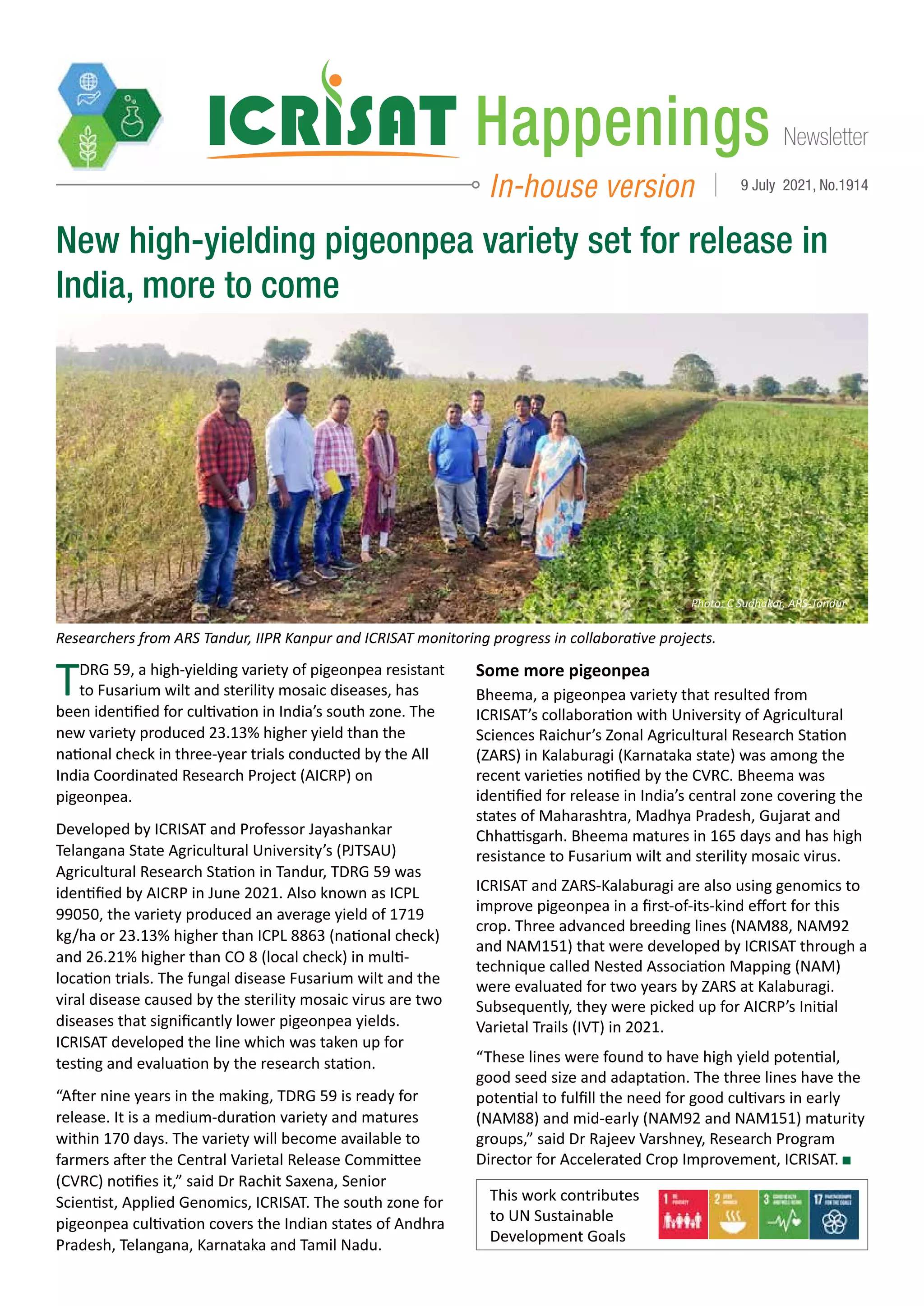 New high-yielding pigeonpea variety set for release in India, more to ...