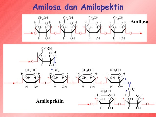Kimia, Gizi, dan Pangan (TPHT)