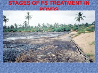 Waste Stabilisation pond design | PPTX