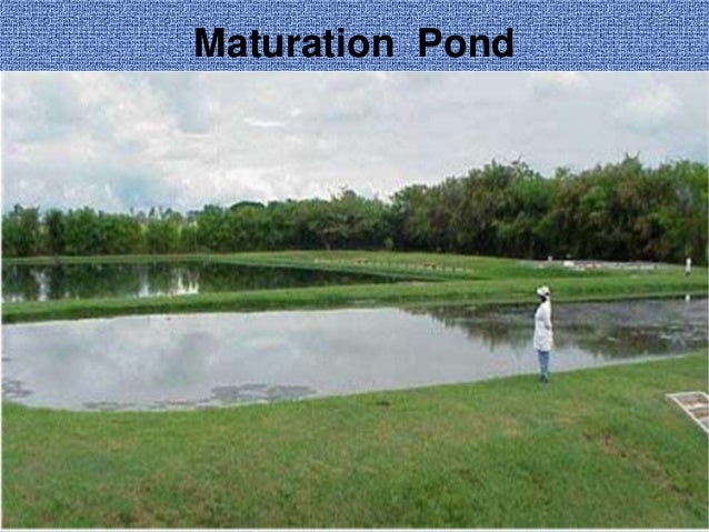 Waste Stabilisation pond design