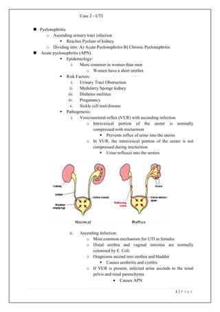 Urinary Tract Infections | DOCX