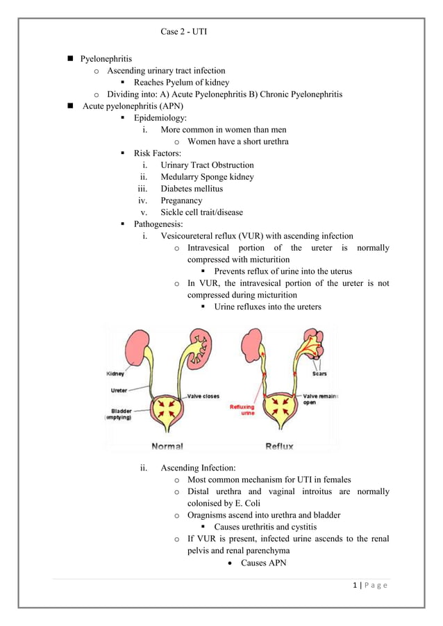 Urinary Tract Infections | PDF