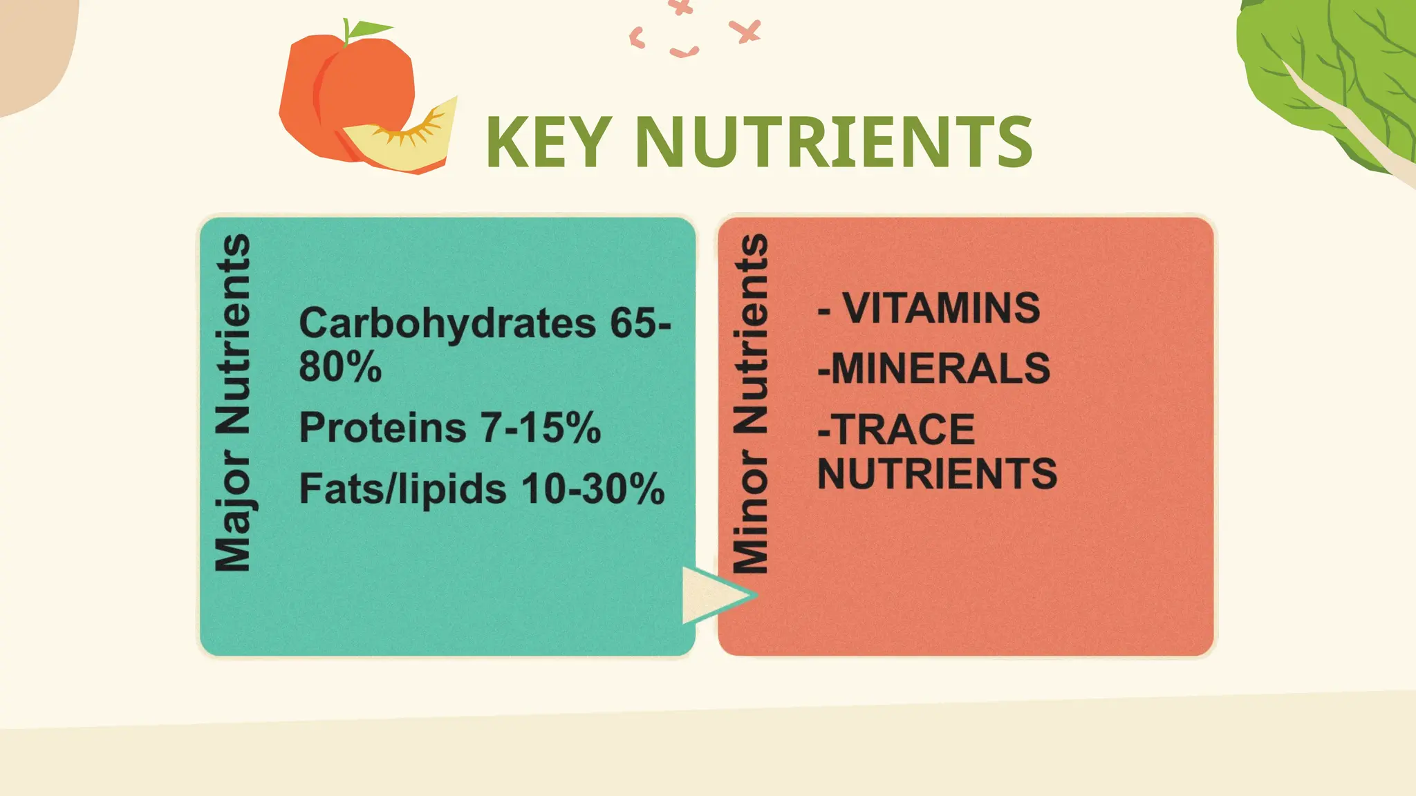 INTRODUCTION TO DIET AND NUTRITION....... | PPTX