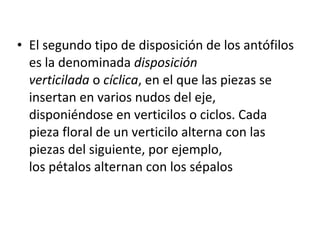 la flor parte 1 | PPT