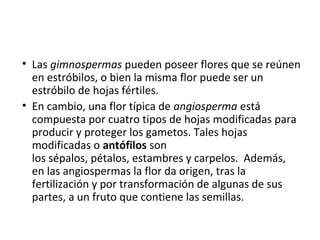 la flor parte 1 | PPT