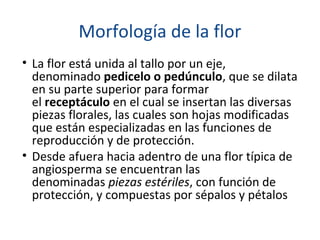 la flor parte 1 | PPT