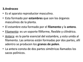 la flor parte 1 | PPT