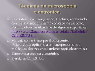 La membrana celular | PPTX