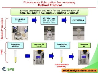 9 lattanzio myco_key_ws_multi-mycotoxin_screening | PPT