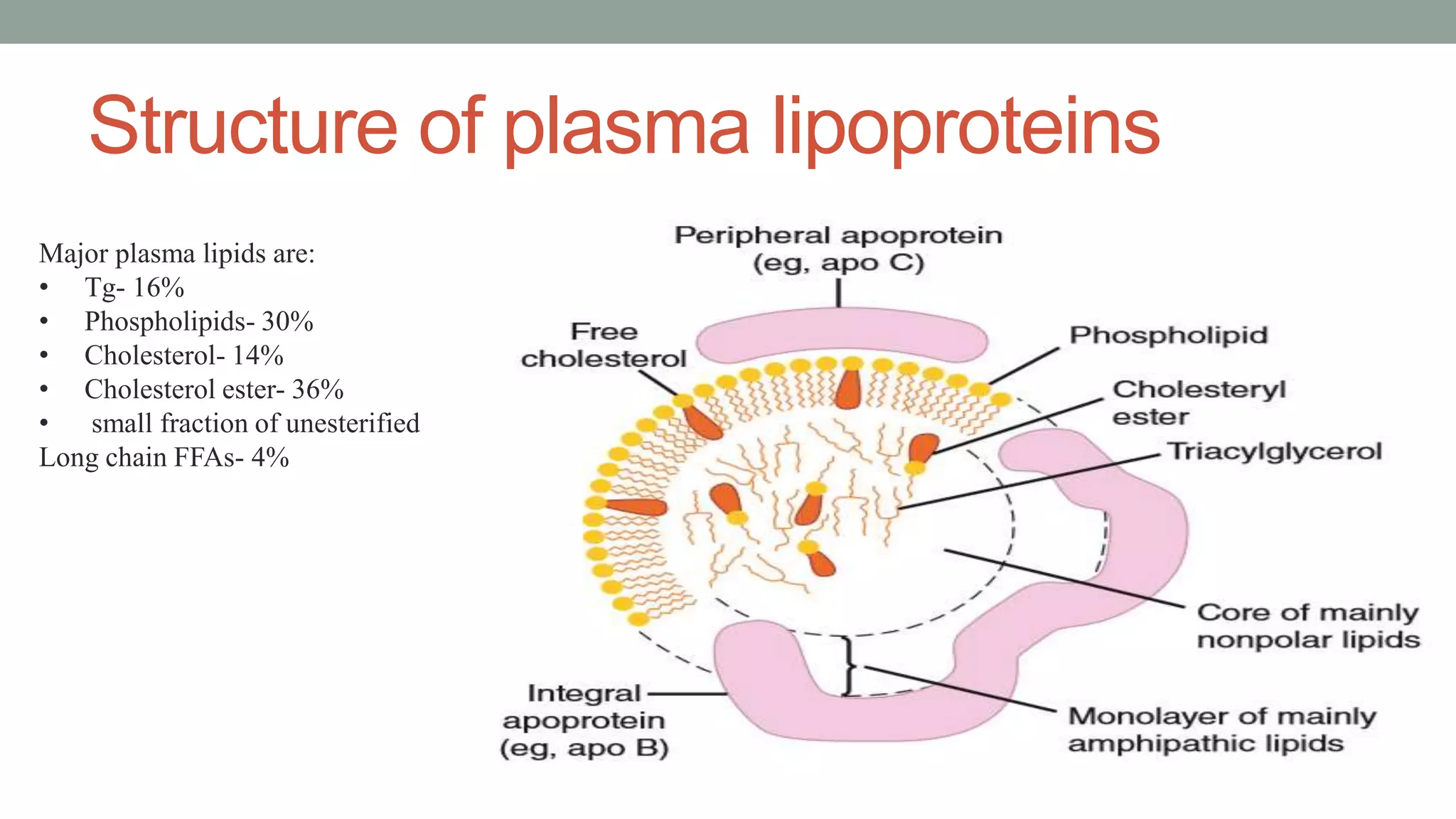lipoproteins and its metabolism | PPTX