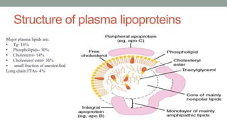 lipoproteins and its metabolism | PPTX