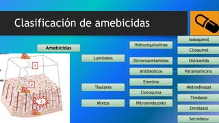 Drogas antiparasitarias y antiprotozooarios | PPTX