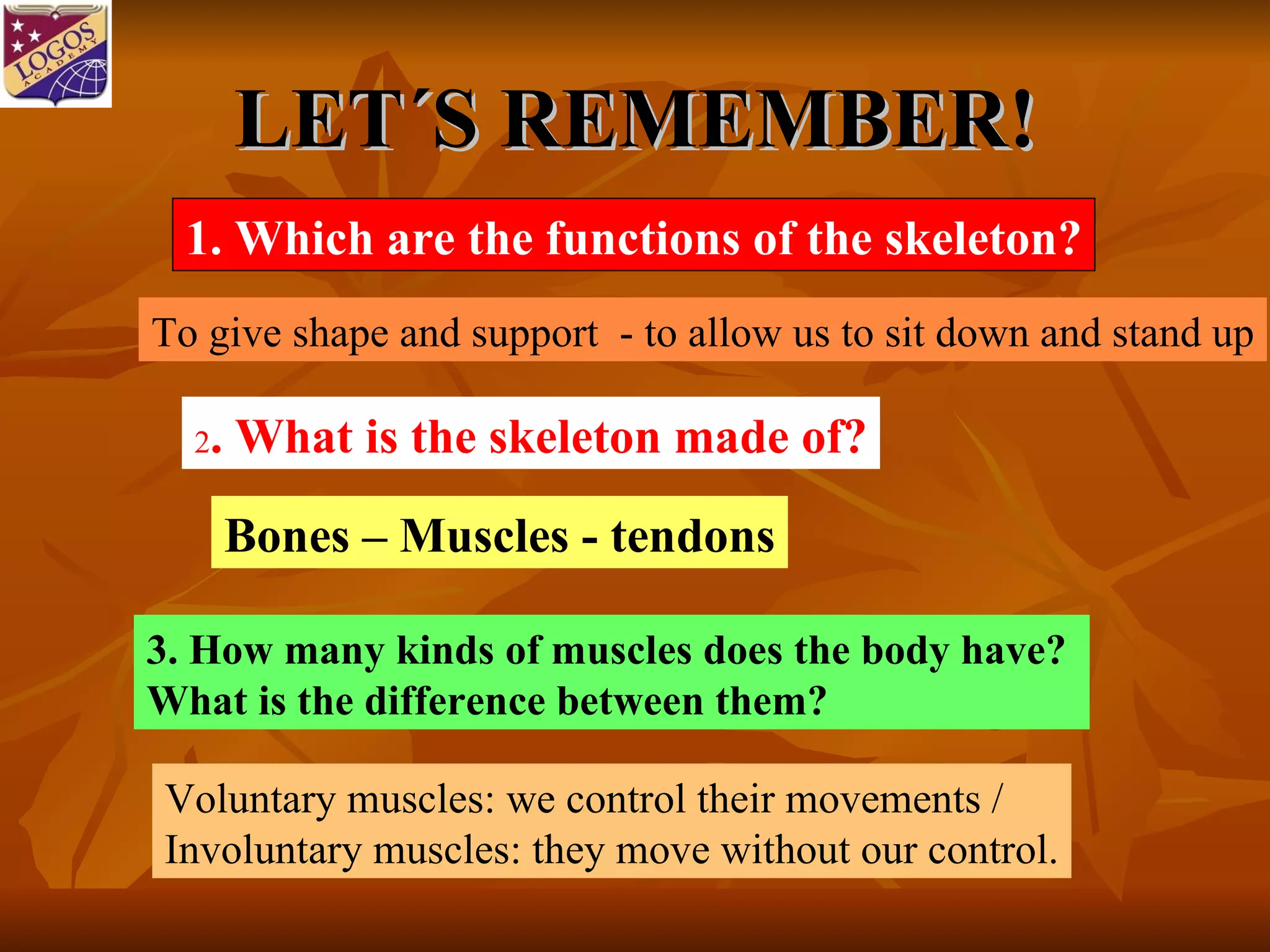 Skeletal System | PPT | Physical Therapy | Wellness